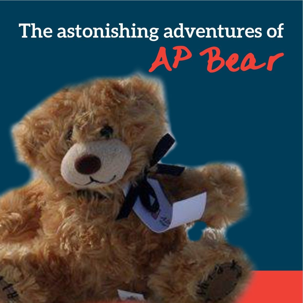 The Astonishing Adventures of A.P. Bear - Alman Partners True Wealth