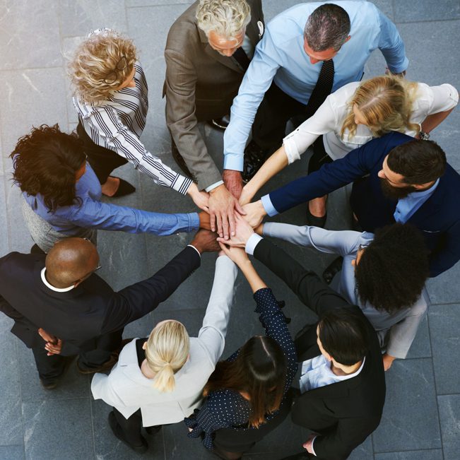 Your Professional Circle - Alman Partners True Wealth